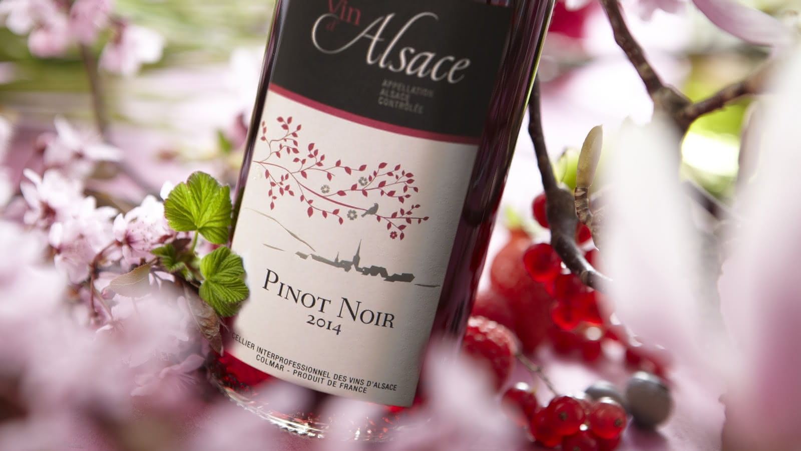 Connaître les Vins d'Alsace | Route des Vins d'Alsace